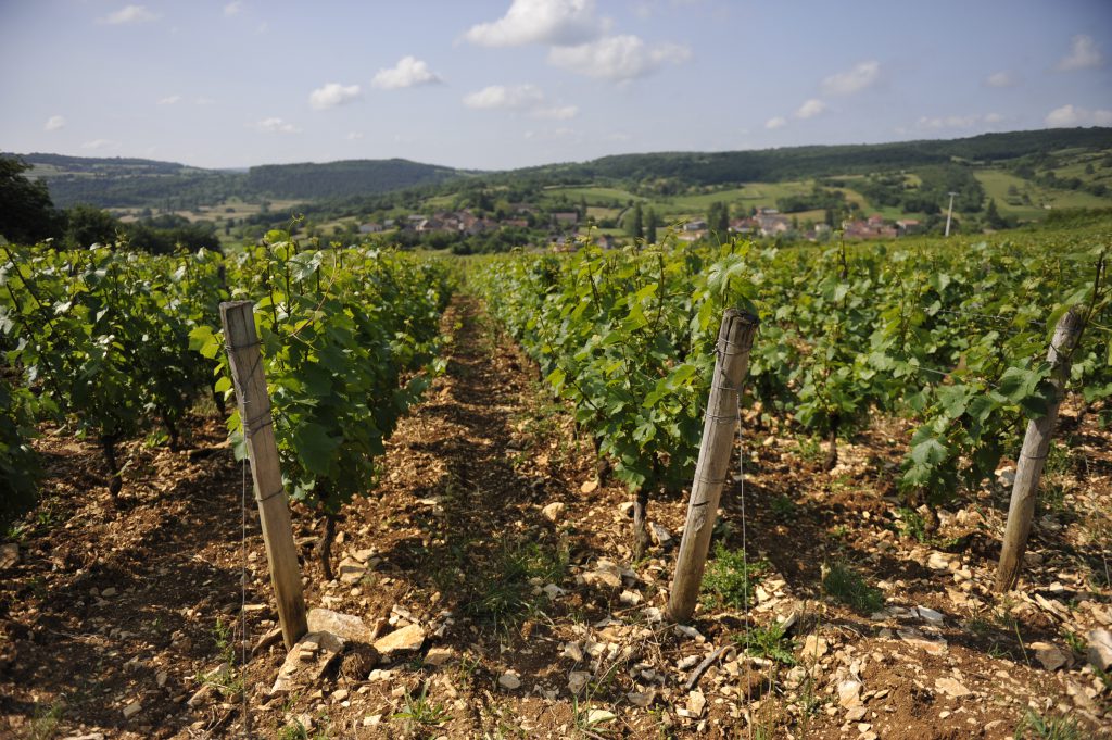 MANCEY | Rouge Granit